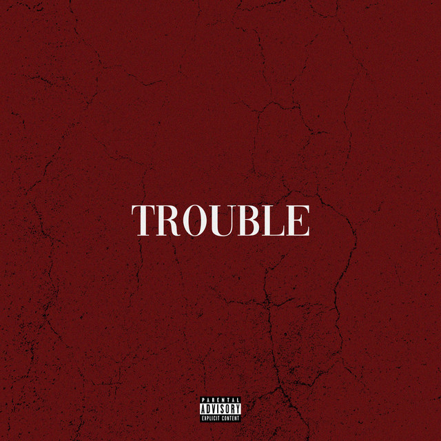 Trouble - Single by $icc | Spotify