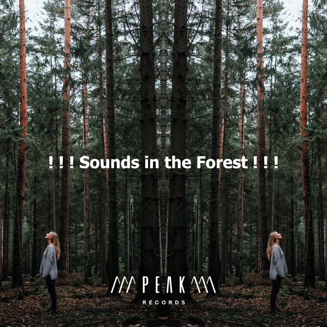 Sounds in the Forest ! ! ! - Album by Forest Sounds | Spotify