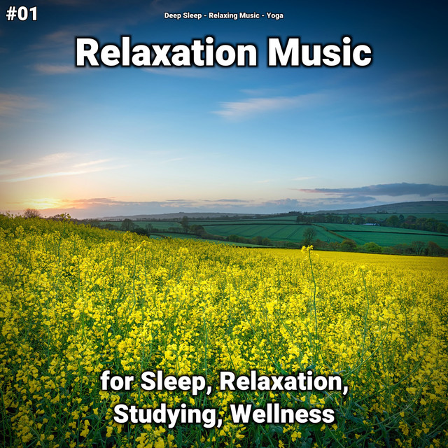 #01 Relaxation Music for Sleep, Relaxation, Studying, Wellness - Album ...