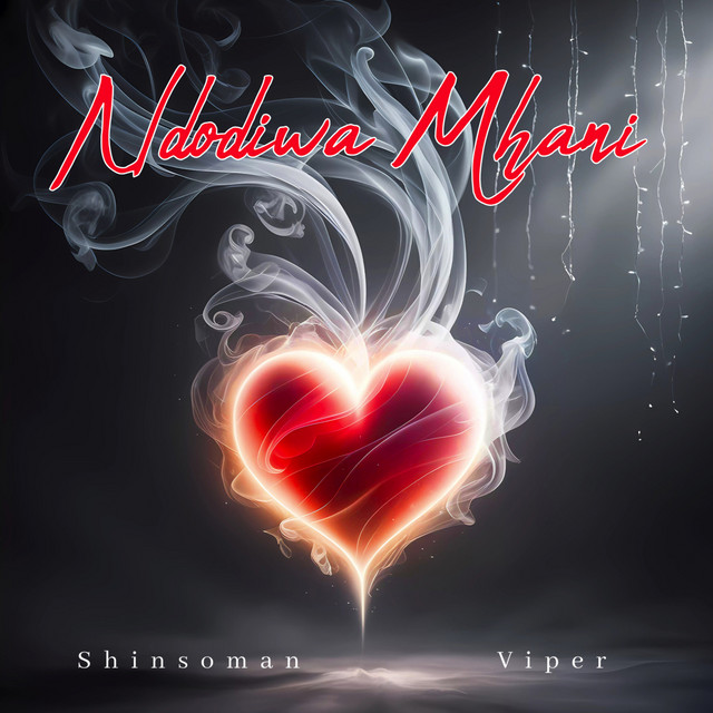 Ndodiwa Mhani - Single by Shinsoman | Spotify