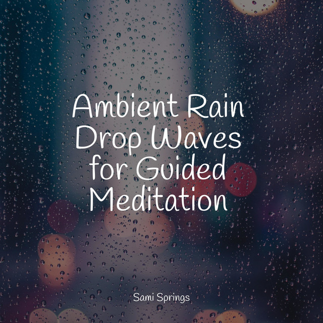 Ambient Rain Drop Waves for Guided Meditation - Album by Nature and ...