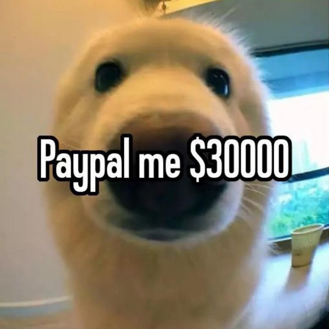 PayPal me $30000 - Album by Cowbelly | Spotify