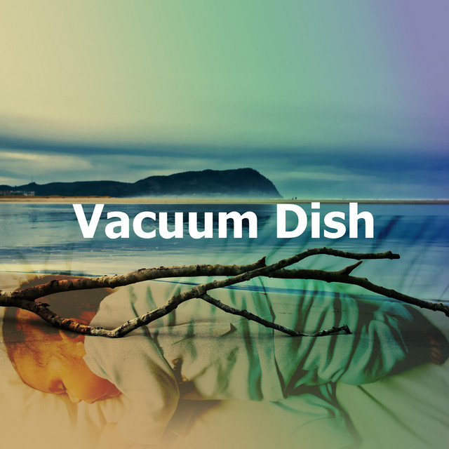 Vacuum Dish - Album by White Noise Babies | Spotify