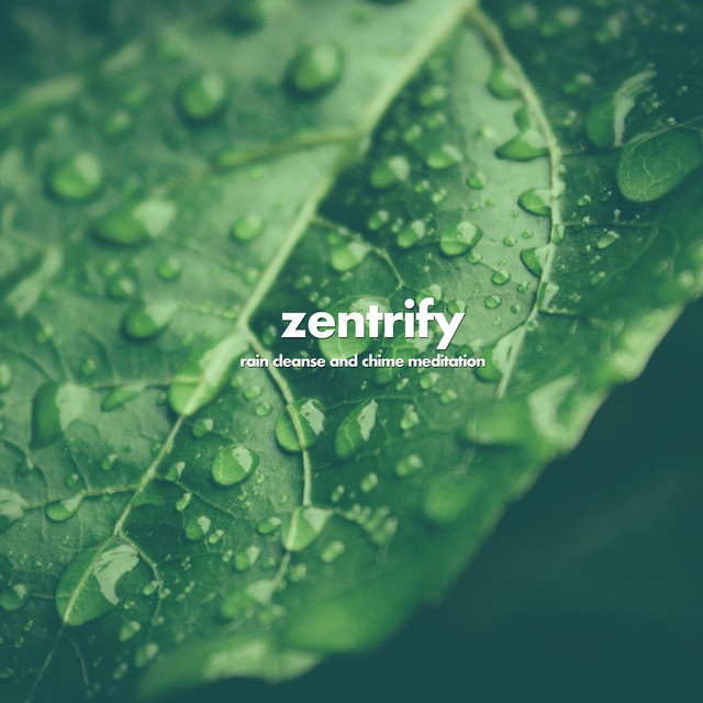 Endless Possibility - song and lyrics by Zentrify | Spotify