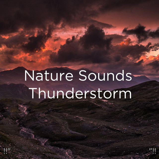 Nature Sounds Thunderstorm "!! - Album by Sounds Of Nature ...