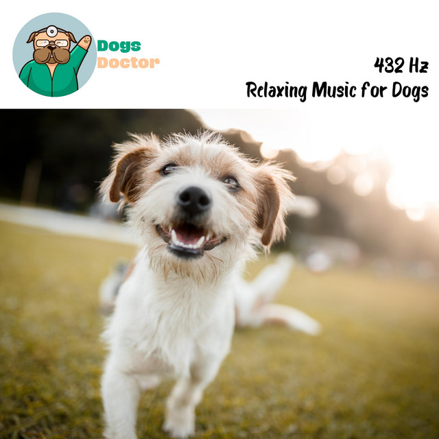 432 Hz Relaxing Music for Dogs - Album by Dogs Doctor | Spotify