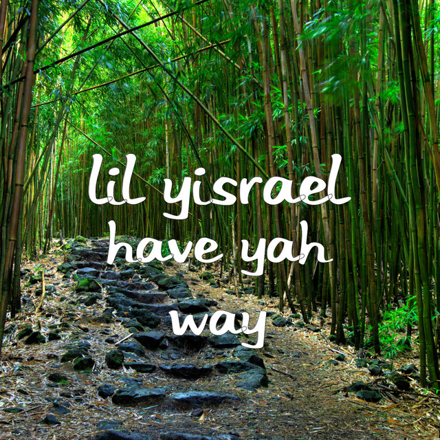 Have Yah Way - Single by Lil YisraEl | Spotify