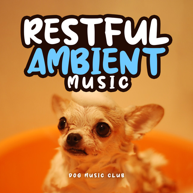 Restful Ambient Music - Album by Dog Music Club | Spotify