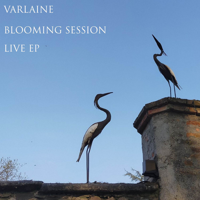 Blooming Session (Live) - Single by Varlaine | Spotify