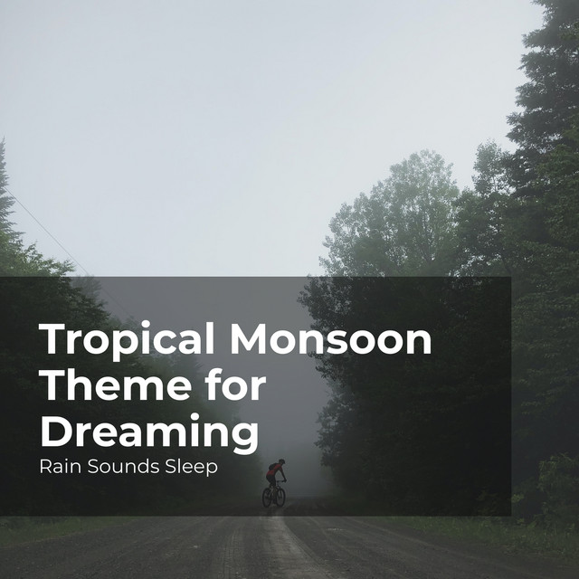Tropical Monsoon Theme for Dreaming - Album by Rain Sounds Sleep | Spotify