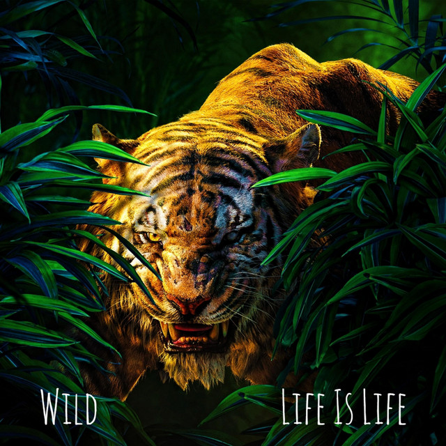 Wild - Single by Life Is Life | Spotify