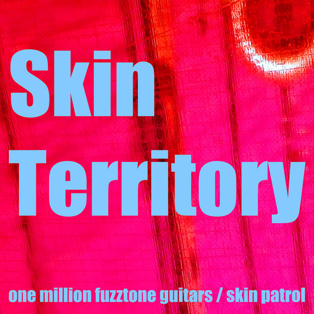 Skin Territory - song and lyrics by One Million Fuzztone Guitars, Skin ...