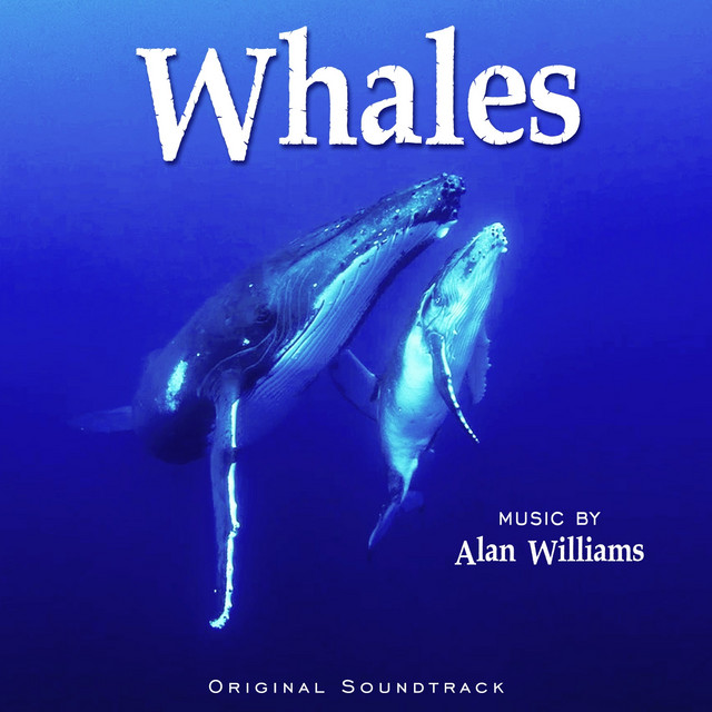Blue Whales - song and lyrics by Alan Williams | Spotify