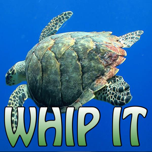 Whip It! - Single by 2015 Iron Hitz | Spotify