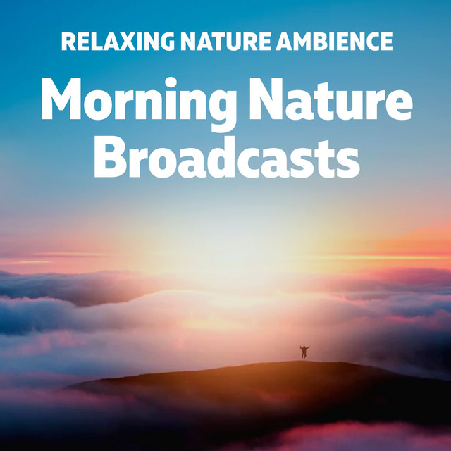 Breezy Bird Calls - song and lyrics by Relaxing Nature Ambience | Spotify