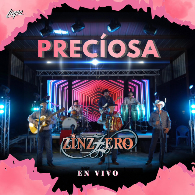 Preciosa - Single by Zinzzero | Spotify