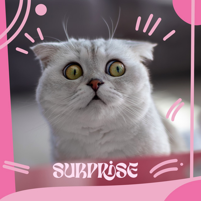 surprise - Single by Sonyakisa | Spotify