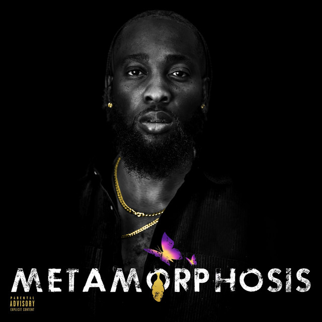 Metamorphosis - Album by Demond | Spotify