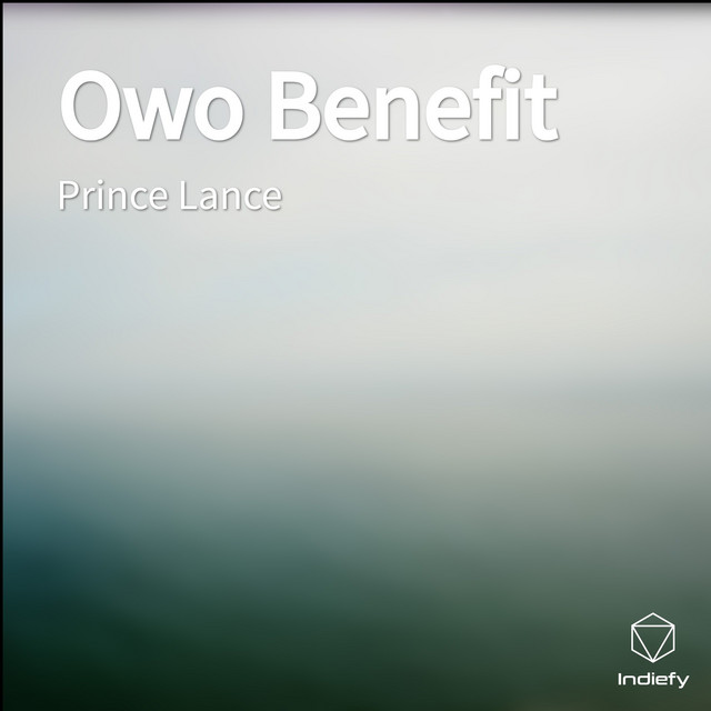Owo Benefit - Single by Prince Lance | Spotify