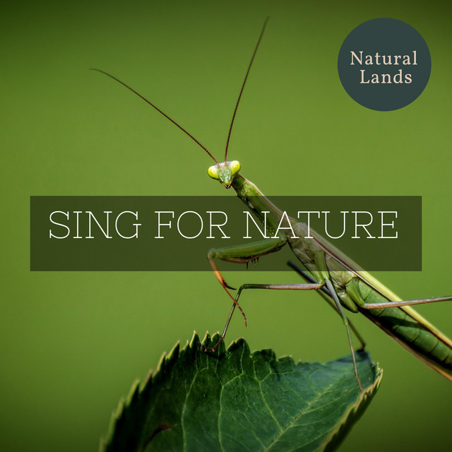 Sing for Nature - Compilation by Various Artists | Spotify