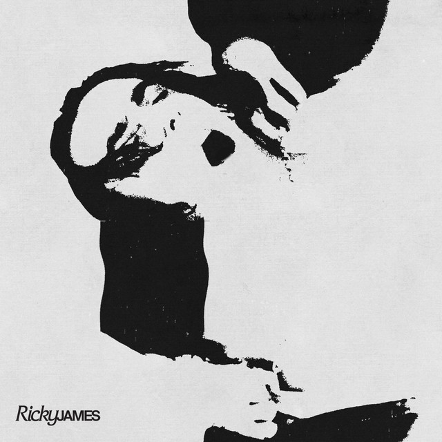 Ricky James - Songs, Events and Music Stats | Viberate.com