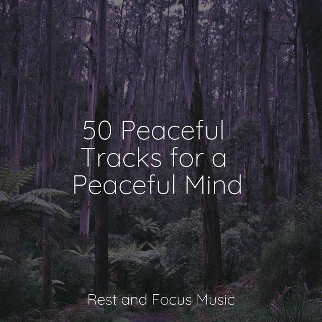 50 Peaceful Tracks for a Peaceful Mind - Album by Chakra Meditation ...