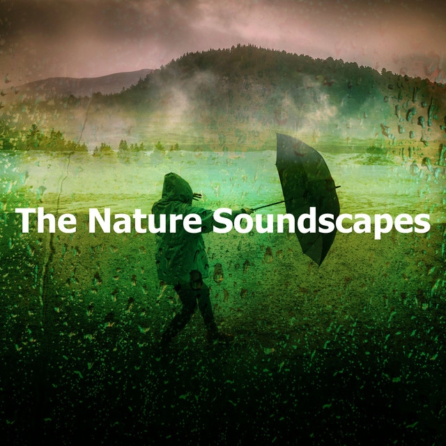 The Nature Soundscapes - Album by Nature Noise | Spotify