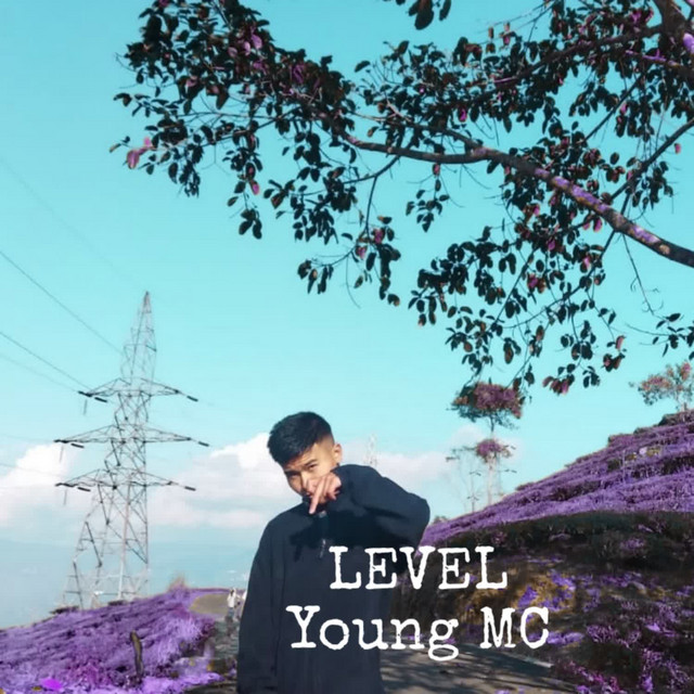Level - Single by Young MC | Spotify