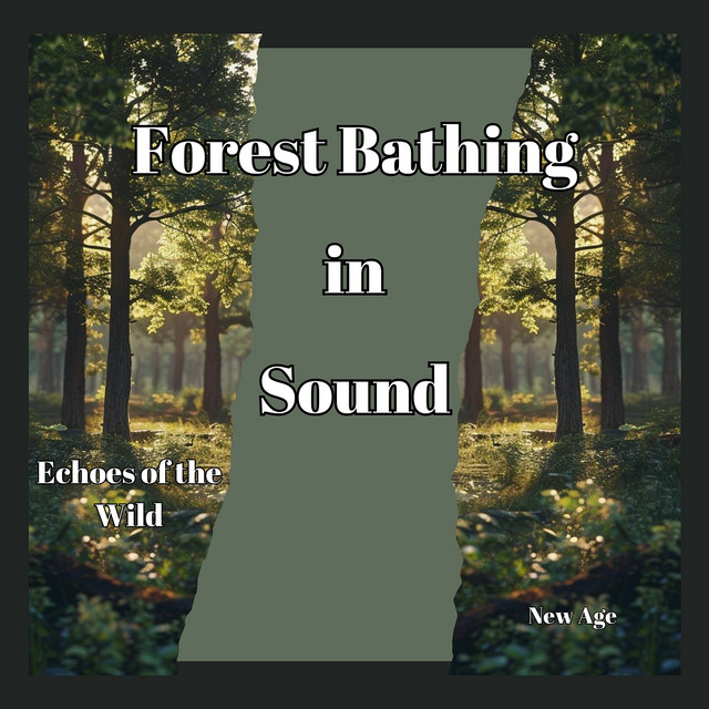 Forest Bathing in Sound: New Age Reflections - Album by Relaxaction ...
