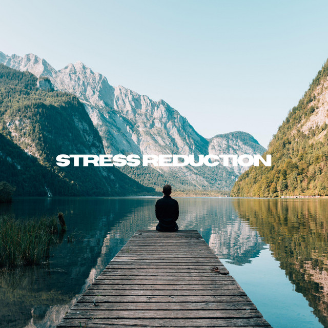Stress Reduction - Album by Meditation Songs | Spotify