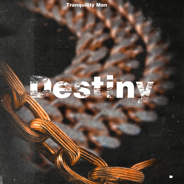 Destiny - song and lyrics by Tranquility Man | Spotify