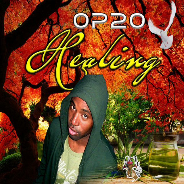BPM and key for songs by OP 20 | Tempo for OP 20 songs | SongBPM ...