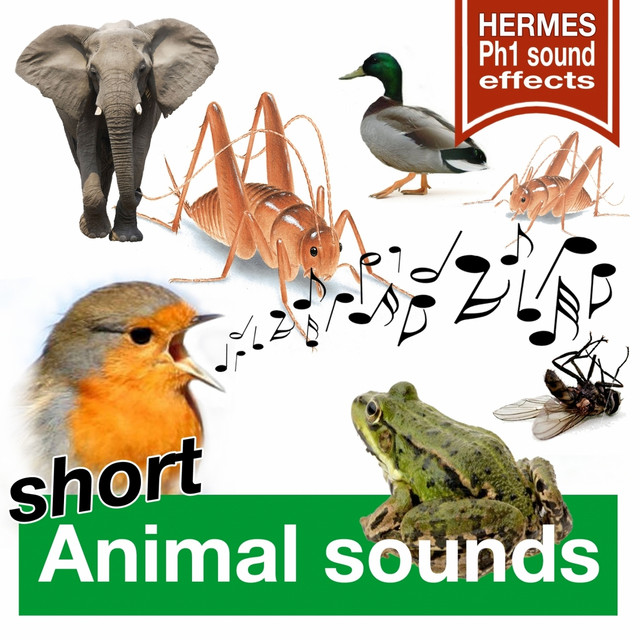 Animal Sounds (Short Versions) - Album by Hermes PH1 Sound-Effects ...