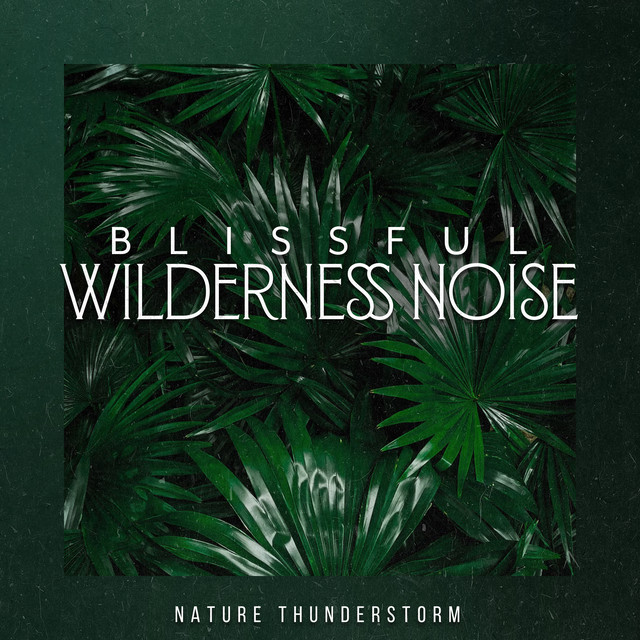 Blissful Wilderness Noise - Album by Nature Thunderstorm | Spotify