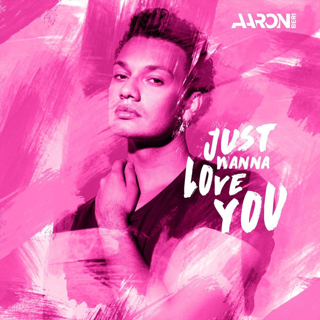 Just Wanna Love You by Aaron Beri