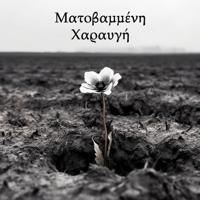 Στέφανος Δαμιανίδης | Spotify