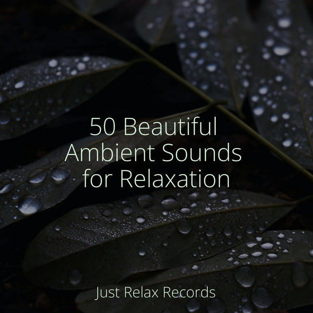 50 Beautiful Ambient Sounds for Relaxation - Album by Musica para ...