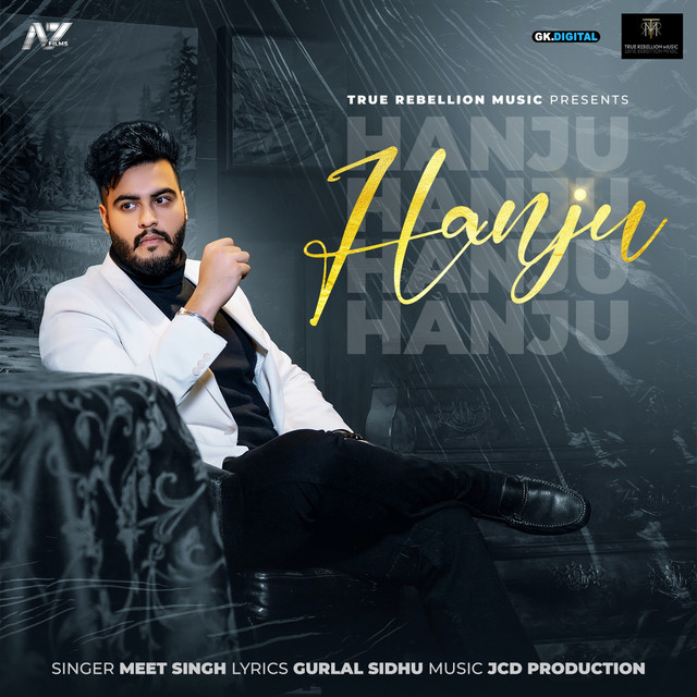 Hanju - Single by Meet Singh | Spotify
