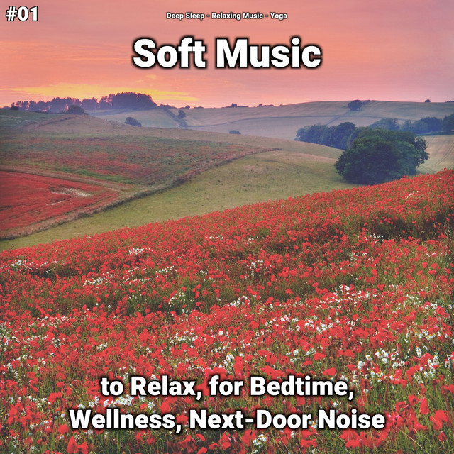 #01 Soft Music to Relax, for Bedtime, Wellness, Next-Door Noise - Album ...
