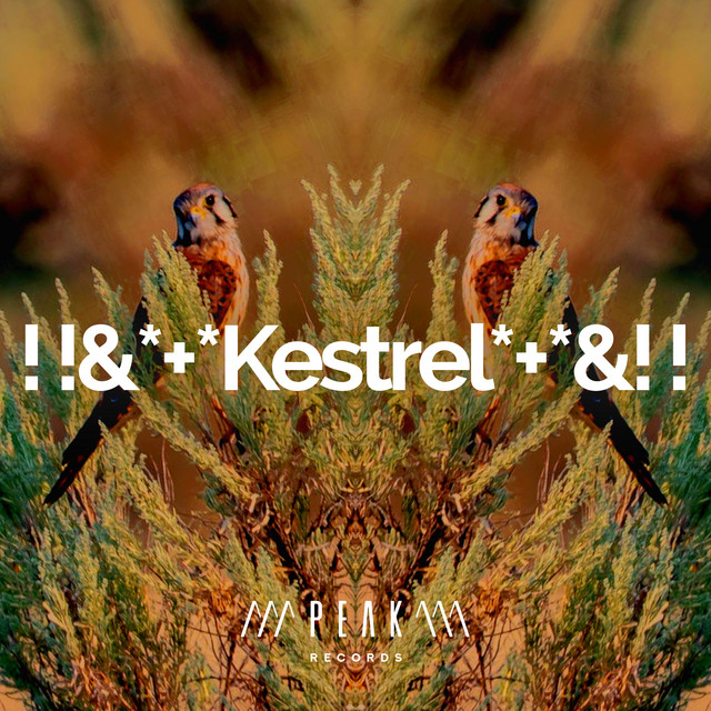 Kestrel*+*&! ! - Album by Bird Sounds | Spotify