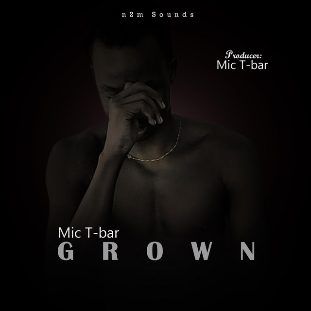 Grown - Single by Mic T-Bar | Spotify