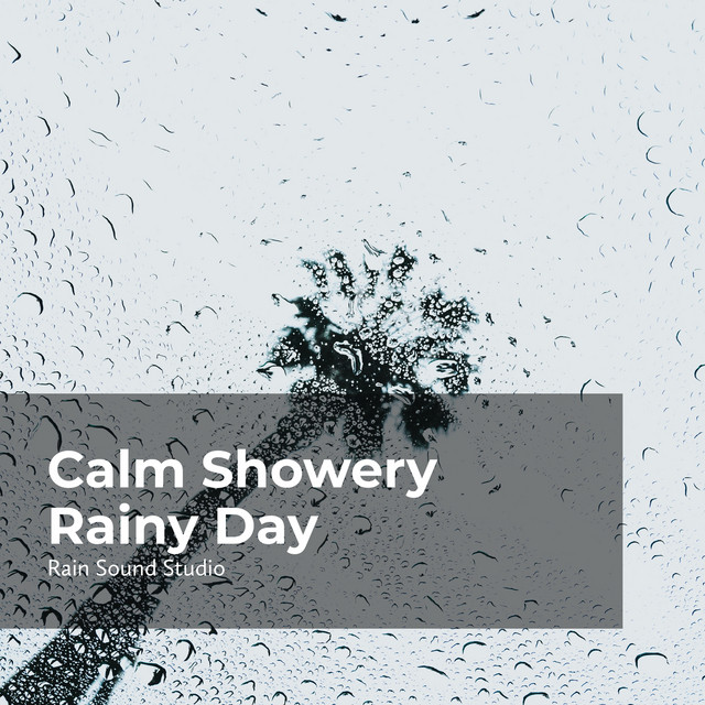 Calm Showery Rainy Day - Album by Rain Sound Studio | Spotify