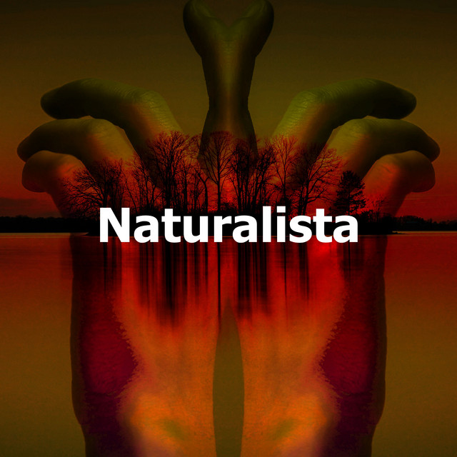Naturalista - Album by Naturaleza | Spotify