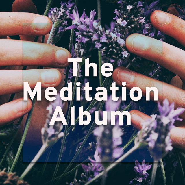 The Meditation Album ! ! ! ! - Album by Meditation Awareness | Spotify