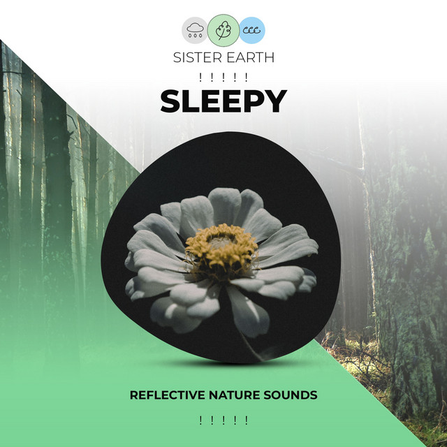 Afternoon Canal - song and lyrics by Mother Nature Sound FX | Spotify
