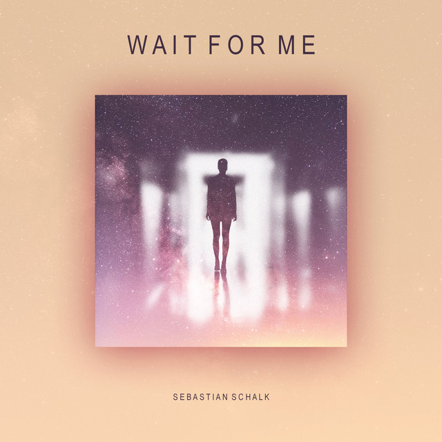 Wait for Me - Single by Sebastian Schalk | Spotify