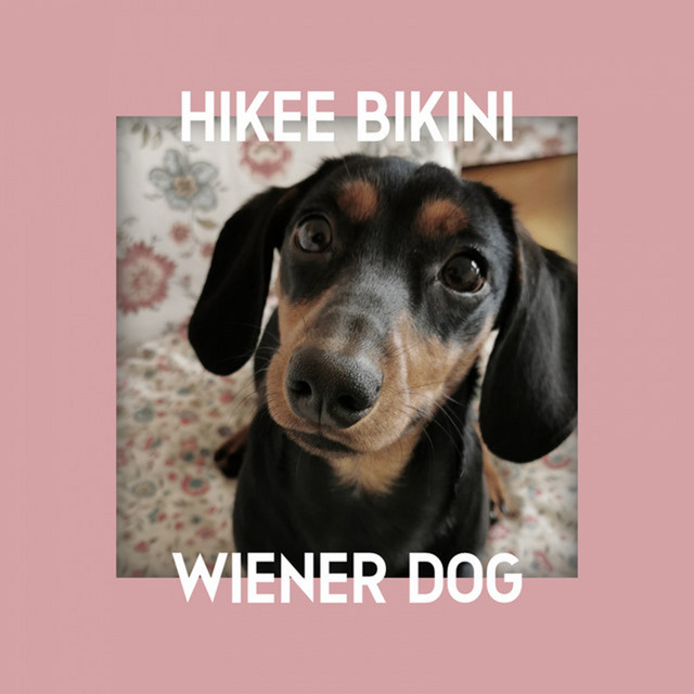 Wiener Dog - song and lyrics by Hikee Bikini | Spotify
