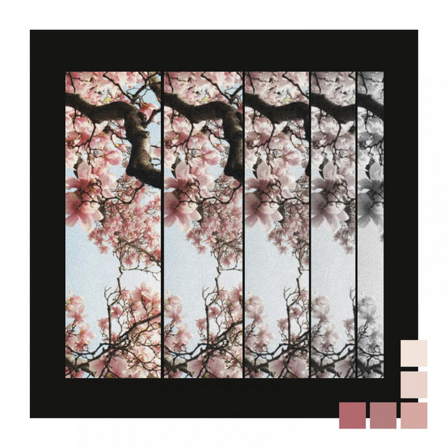 chanel - Single by Jacob Welch | Spotify