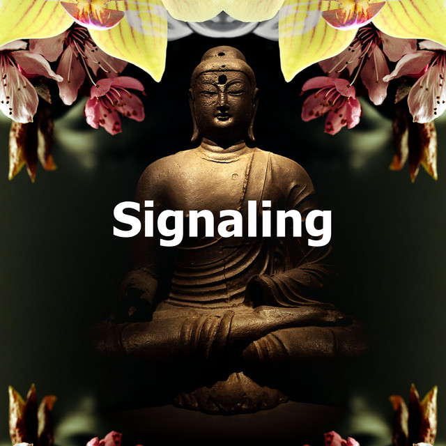 Signaling - Album by Sounds of Nature White Noise for Mindfulness ...