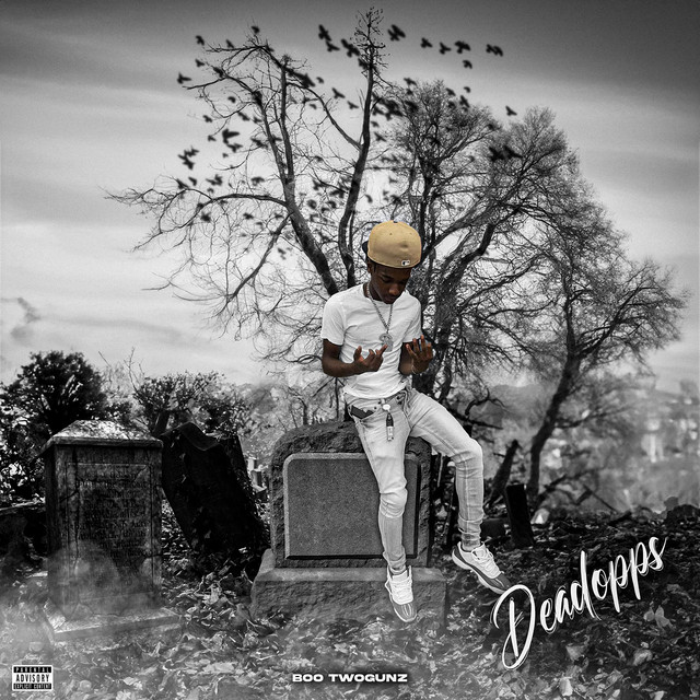 Dead Opps - song by Boo TwoGunz | Spotify